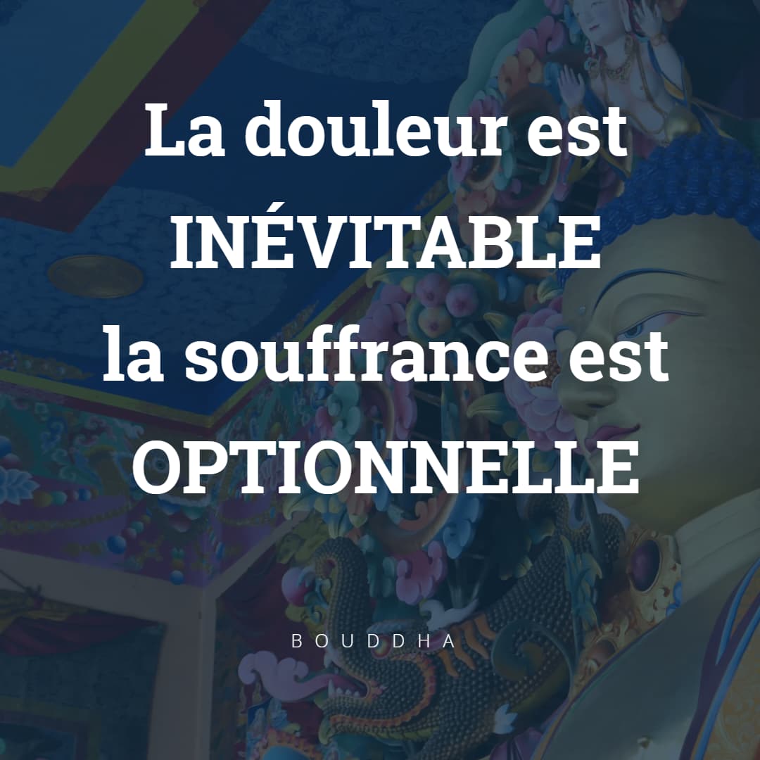 LA SOUFFRANCE VIENT DU REFUS